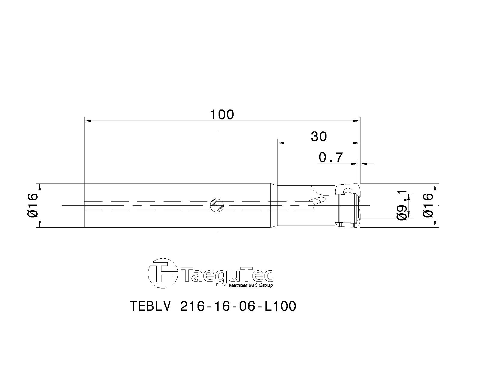 TaeguTec Cutting Tools - Metal Working Tools - TEBLV-06 : 6247679 ...